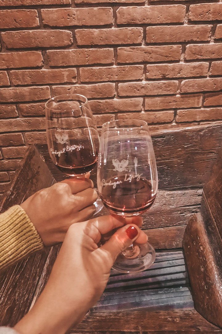 Melhores vinícolas de Mendoza para visitar em 2026: guia completo